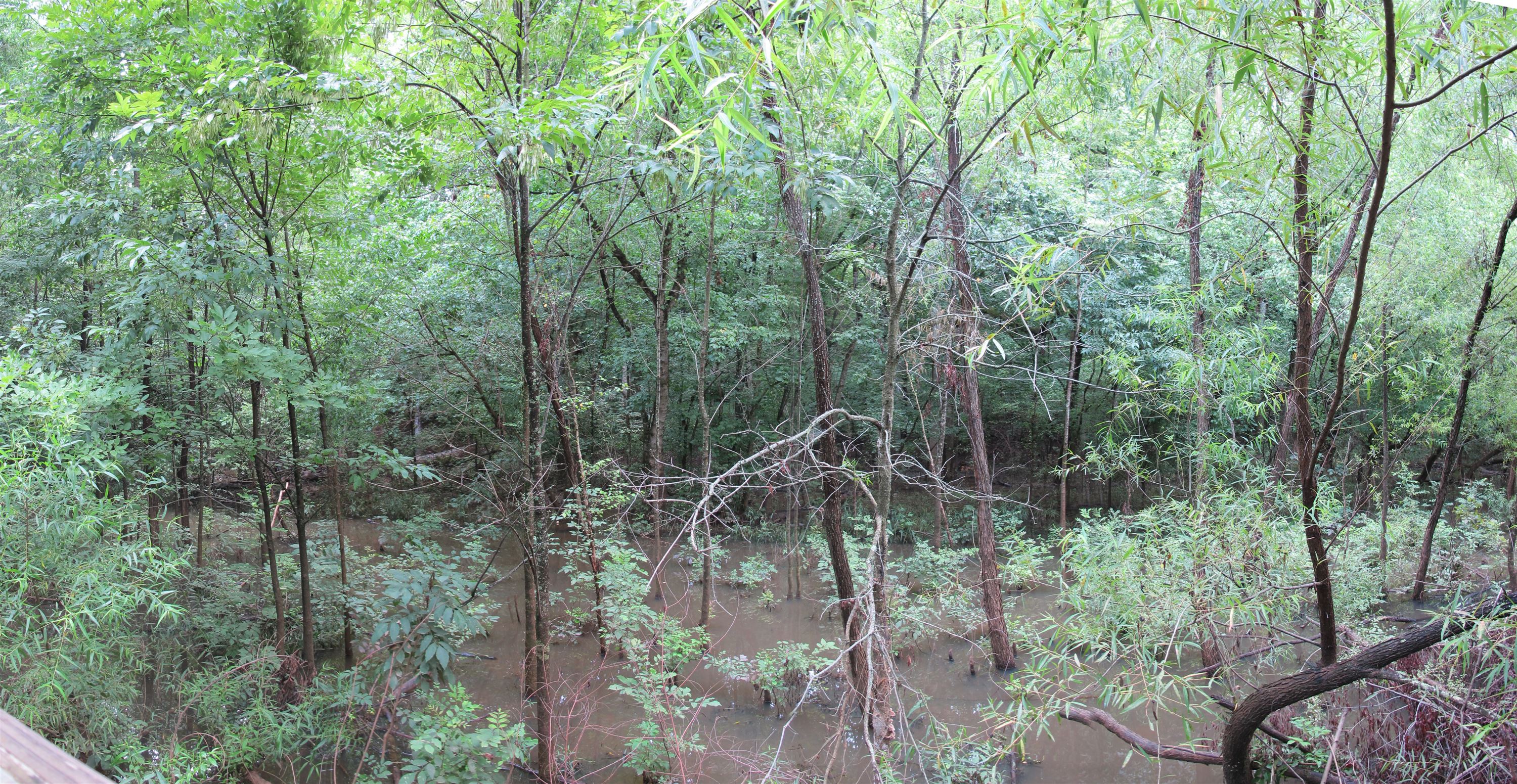 Locations Hub - Kirk Farm Fields Park